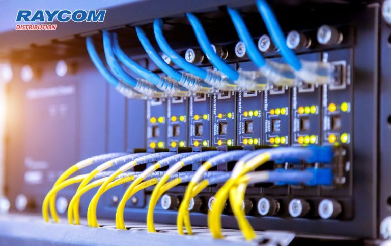 Nên chọn mạng có dây hay không dây? - RAYCOM Distribution